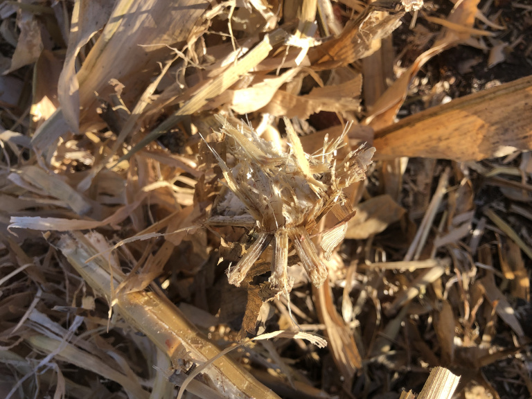 John Deere RowMax Chopping Corn Head Stalk Rolls | Sloan Blog